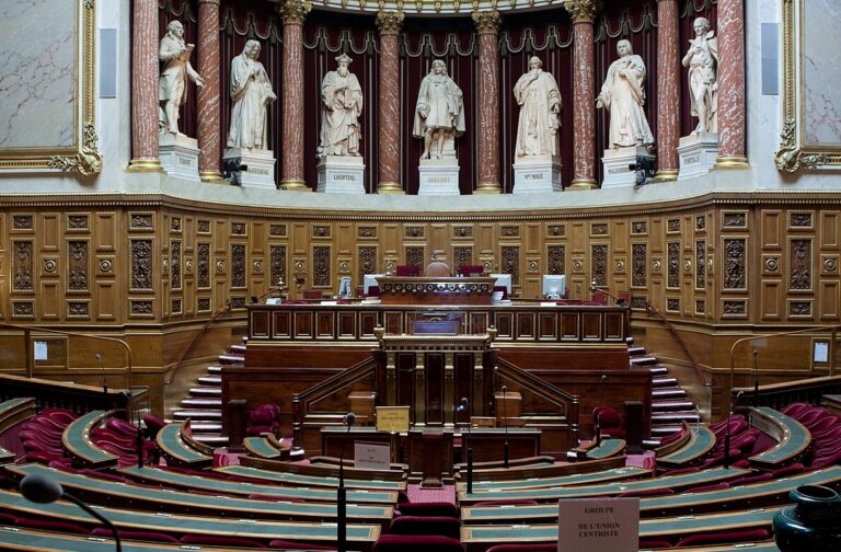 Intégration des AESH dans la fonction publique : audience du SNALC au Sénat – SNALC